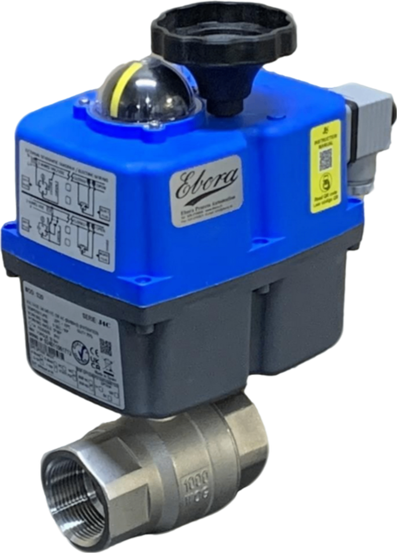 Ebora 2-piece stainless steel ball valve 11/4" BSPP, PN63, with ...